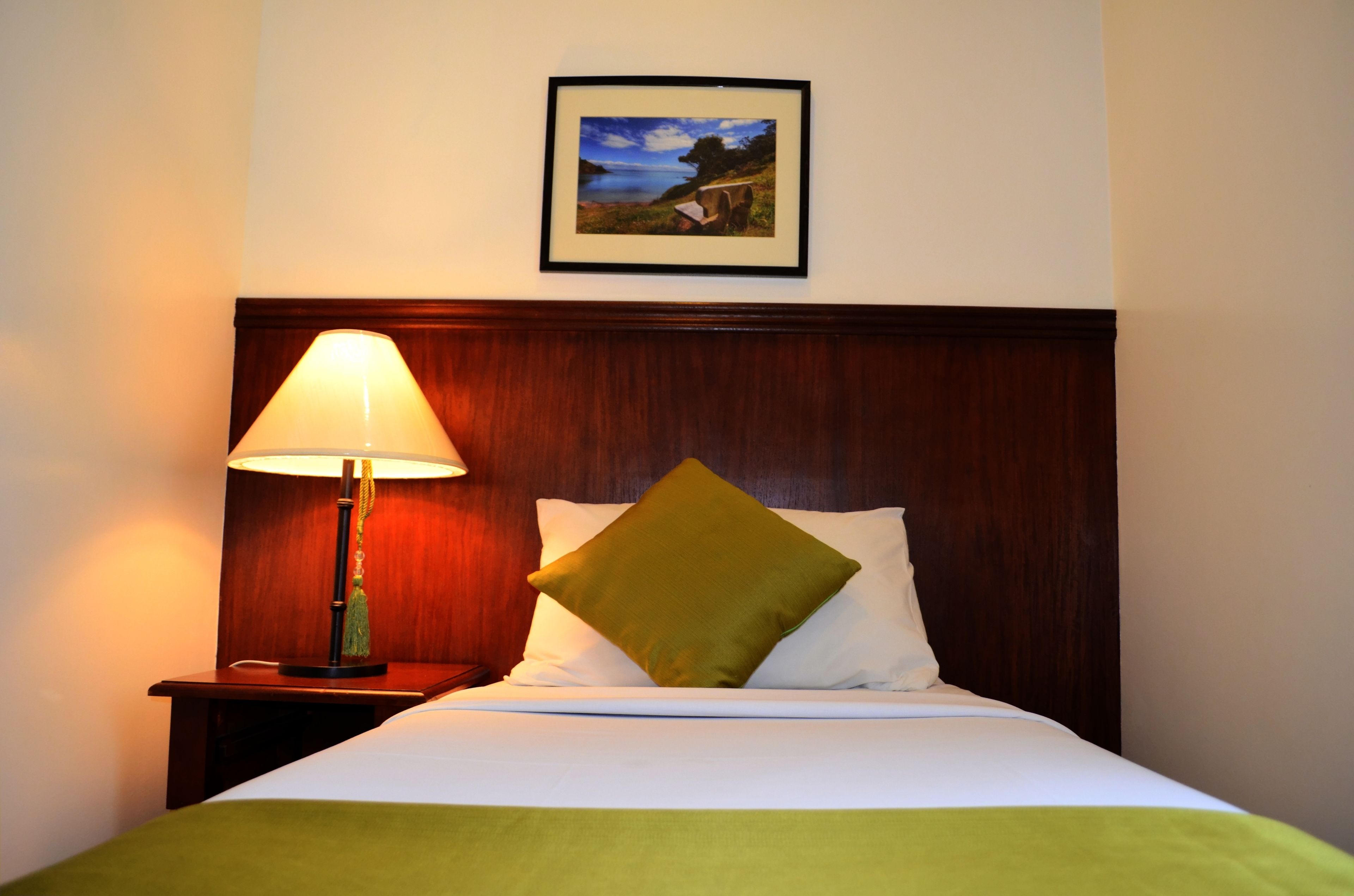 Cama bem arrumada com um travesseiro verde e um travesseiro branco, mesa de cabeceira de madeira com um abajur e um quadro na parede.