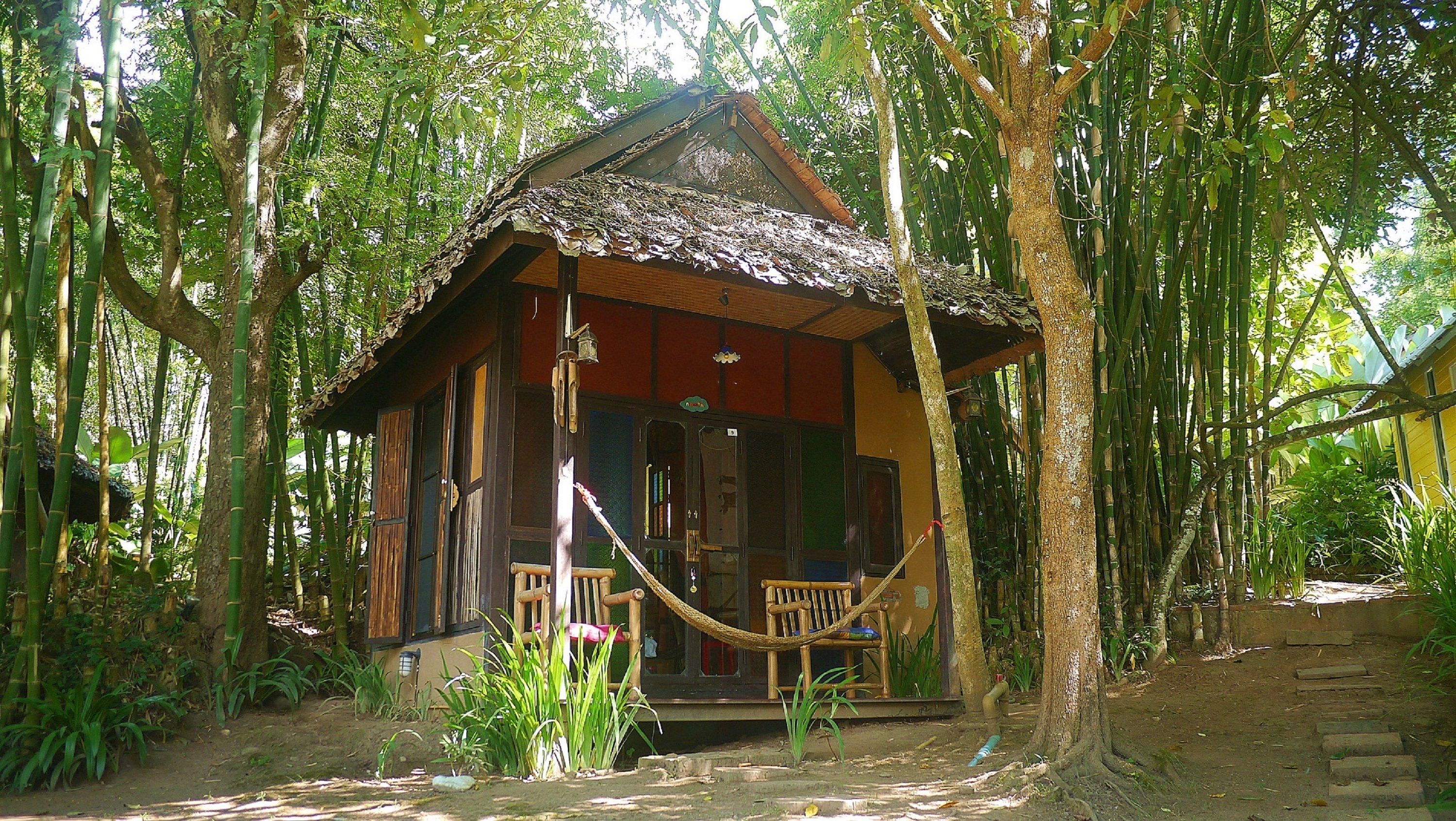 Uma casa de madeira rústica cercada por bambu e vegetação tropical.