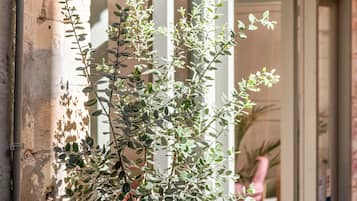 Fachada do alojamento