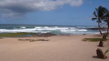 Quarto Clássico com Cama de Casal | Vista para a praia ou o mar