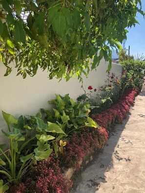 Terrenos do alojamento