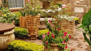 Pátio com fonte, plantas em vasos e área de estar ao ar livre.