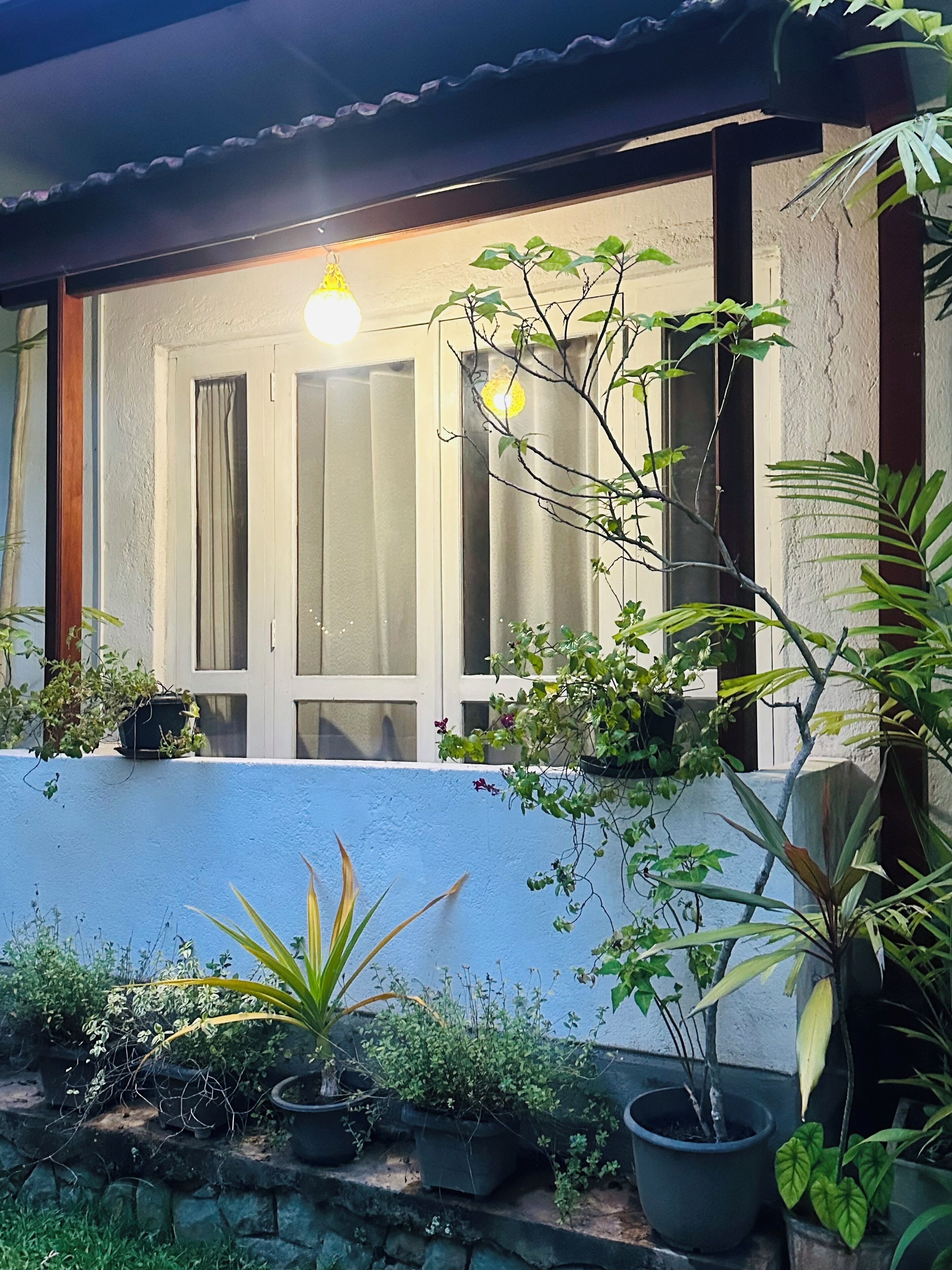 Uma casa com fachada azul, uma janela com cortina e vários vasos de plantas.
