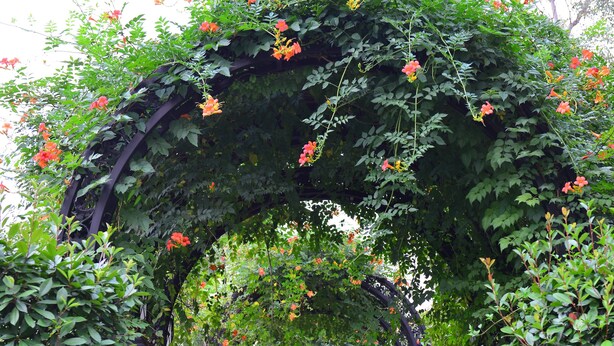 Um caminho de pedra serpenteia por um jardim exuberante, com um arco coberto de trepadeiras.