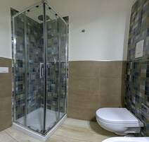 Um box de chuveiro com porta de vidro, um vaso sanitário e paredes revestidas com azulejos.