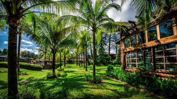 Área da propriedade