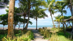 Uma trilha que leva a uma praia com palmeiras e uma rede.