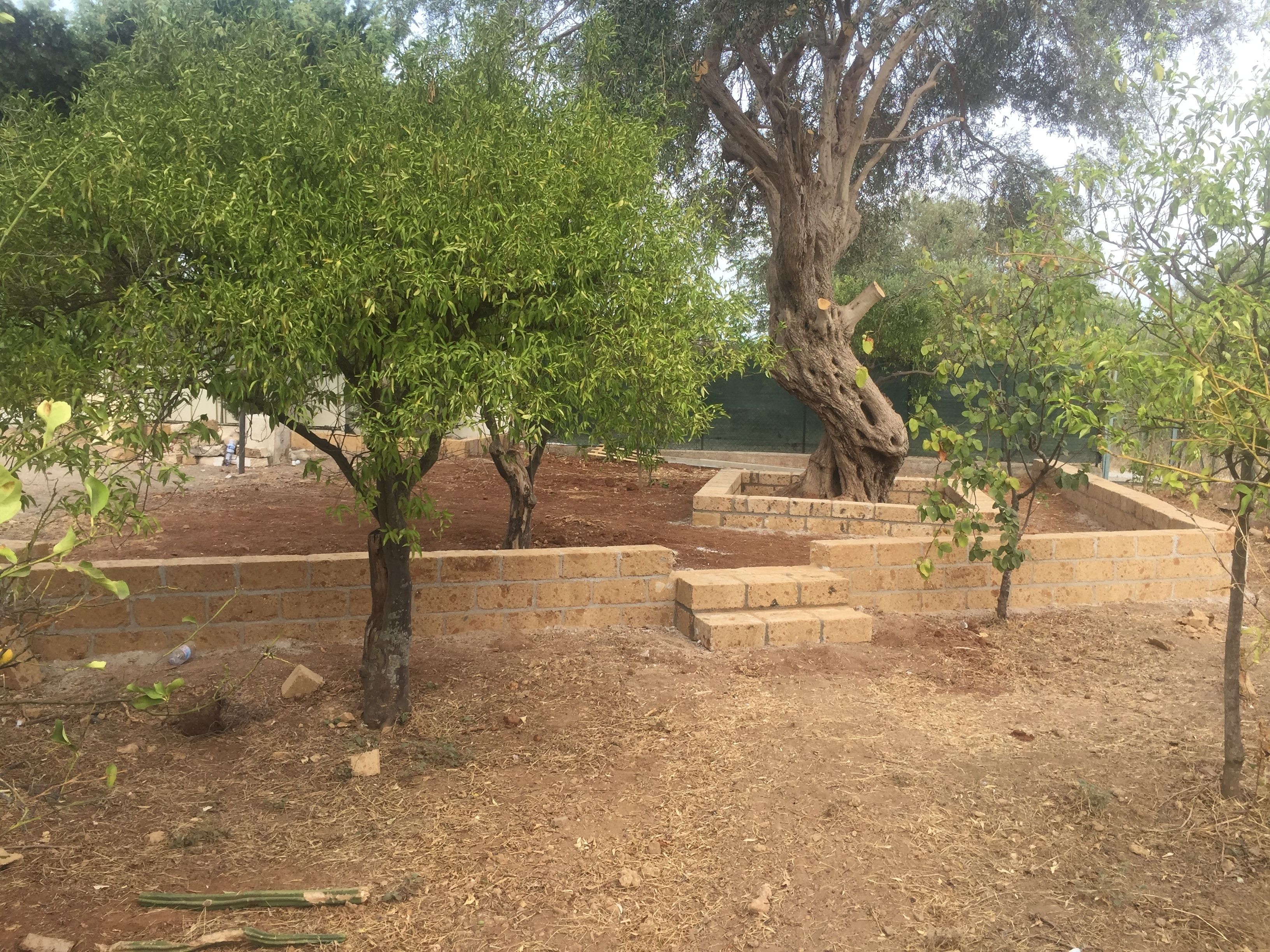 Um jardim com árvores e uma construção de tijolos.