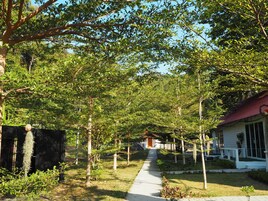 Quarto luxo, 2 camas Queen, vista para o jardim | Vista do quarto