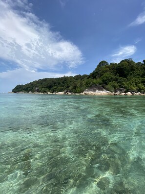 Vista clara de uma praia com água turquesa, areal arenoso e uma colina arborizada ao fundo.