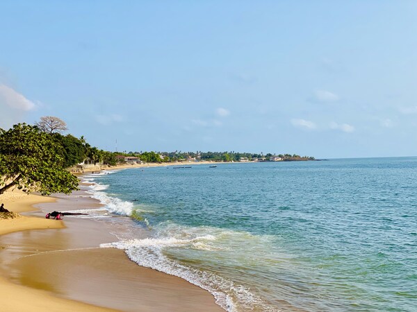 Occasions - Freetown