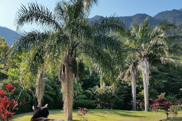 Villa Deluxe | Vista da varanda