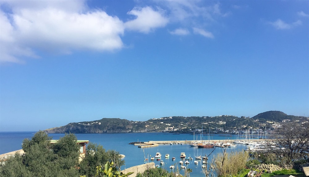 Harbour View - Forio