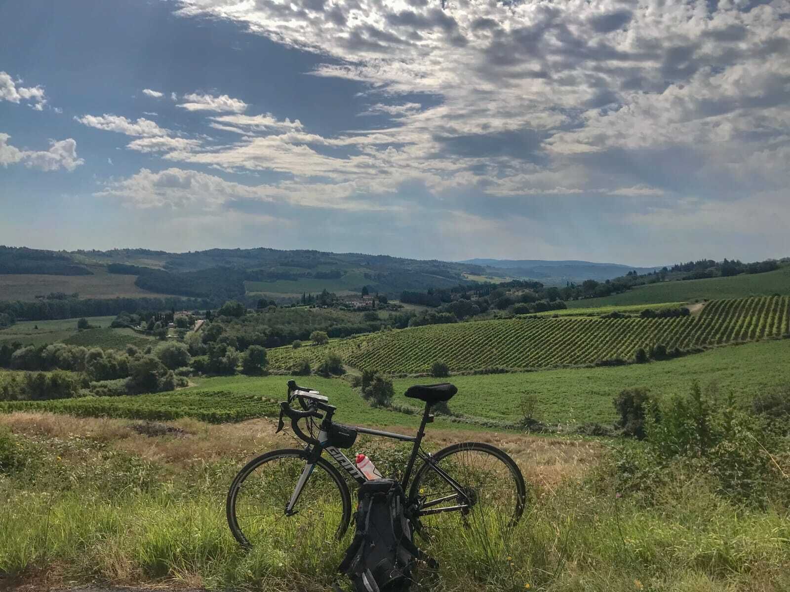 Uma bicicleta estacionada numa colina gramada, com vinhedos ao fundo.