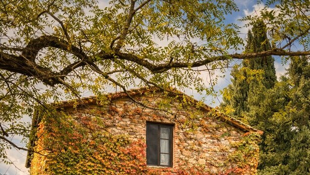 Uma casa de pedra com porta e janela de madeira, rodeada por vegetação e um caminho de pedra.