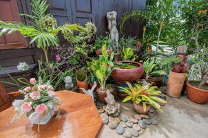 Terrenos do alojamento