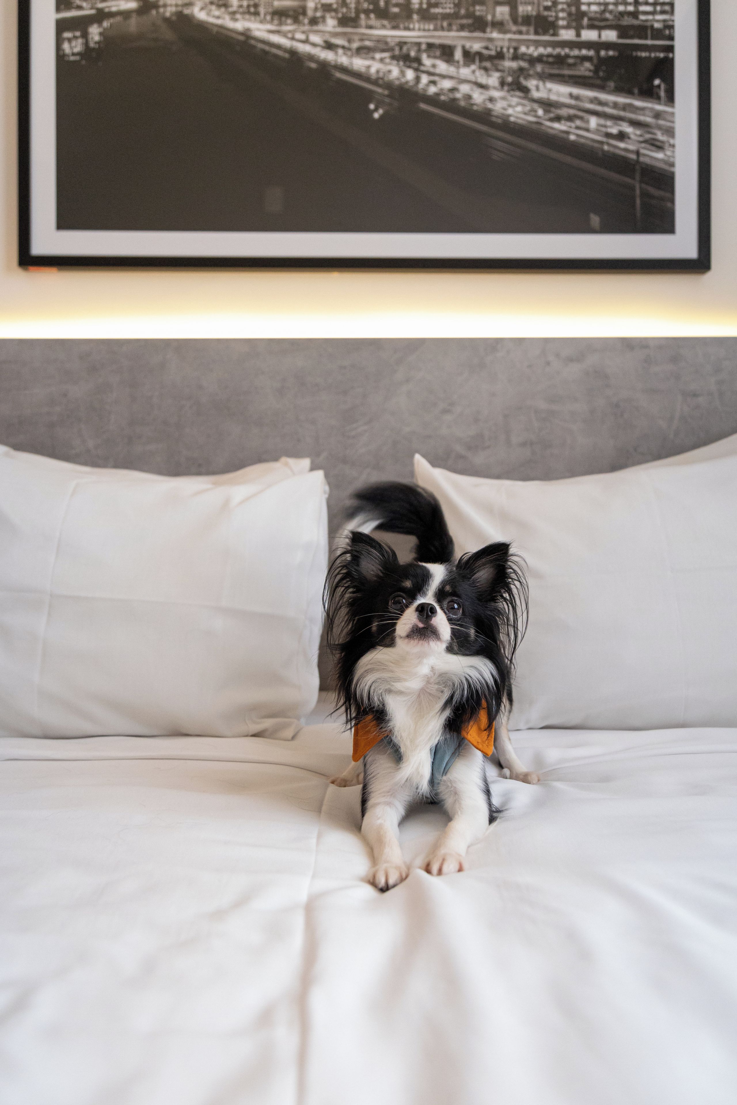 Cama com roupa de cama branca e um quadro pendurado acima.