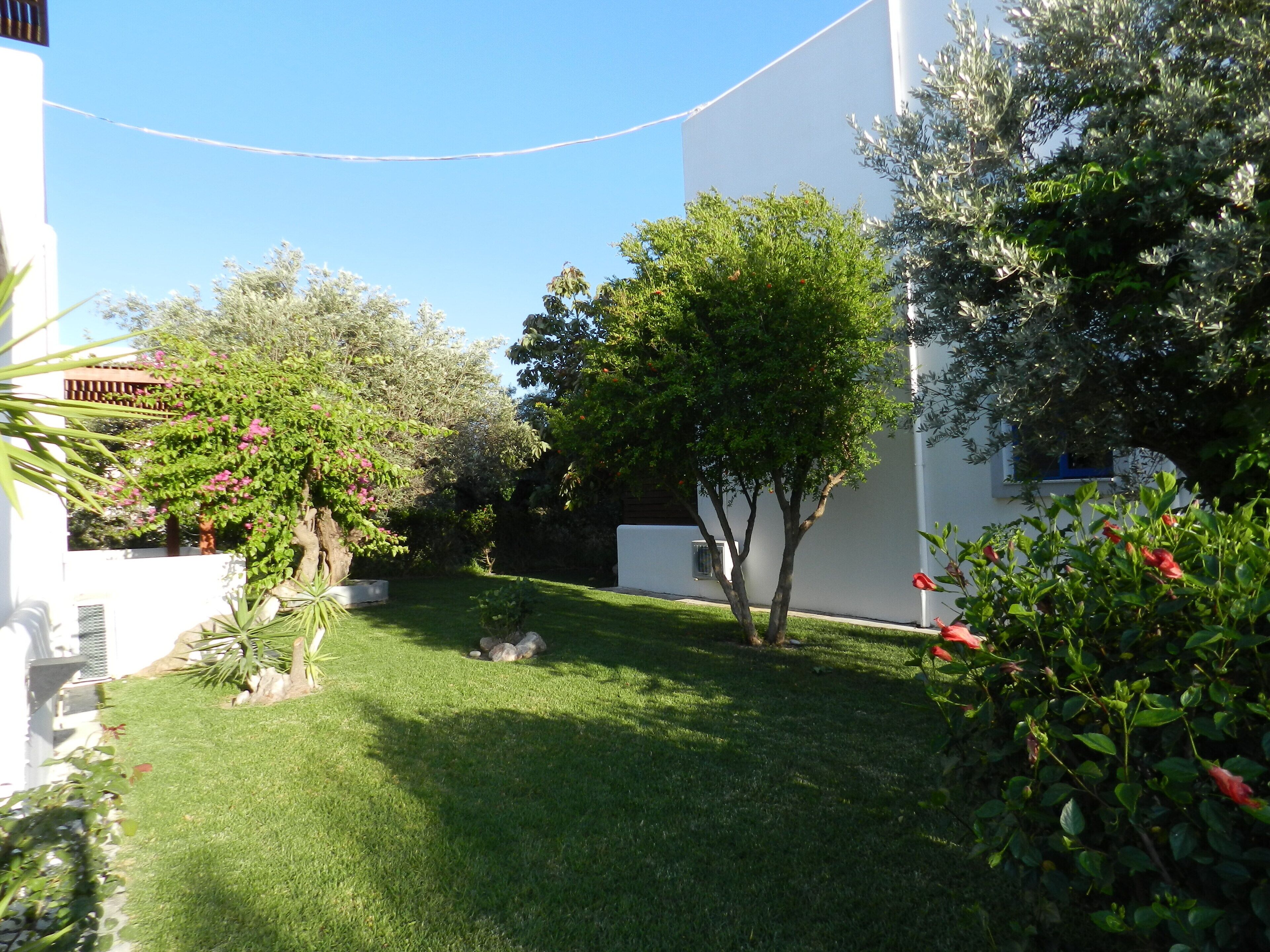 Vista da propriedade