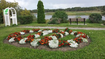 Lago