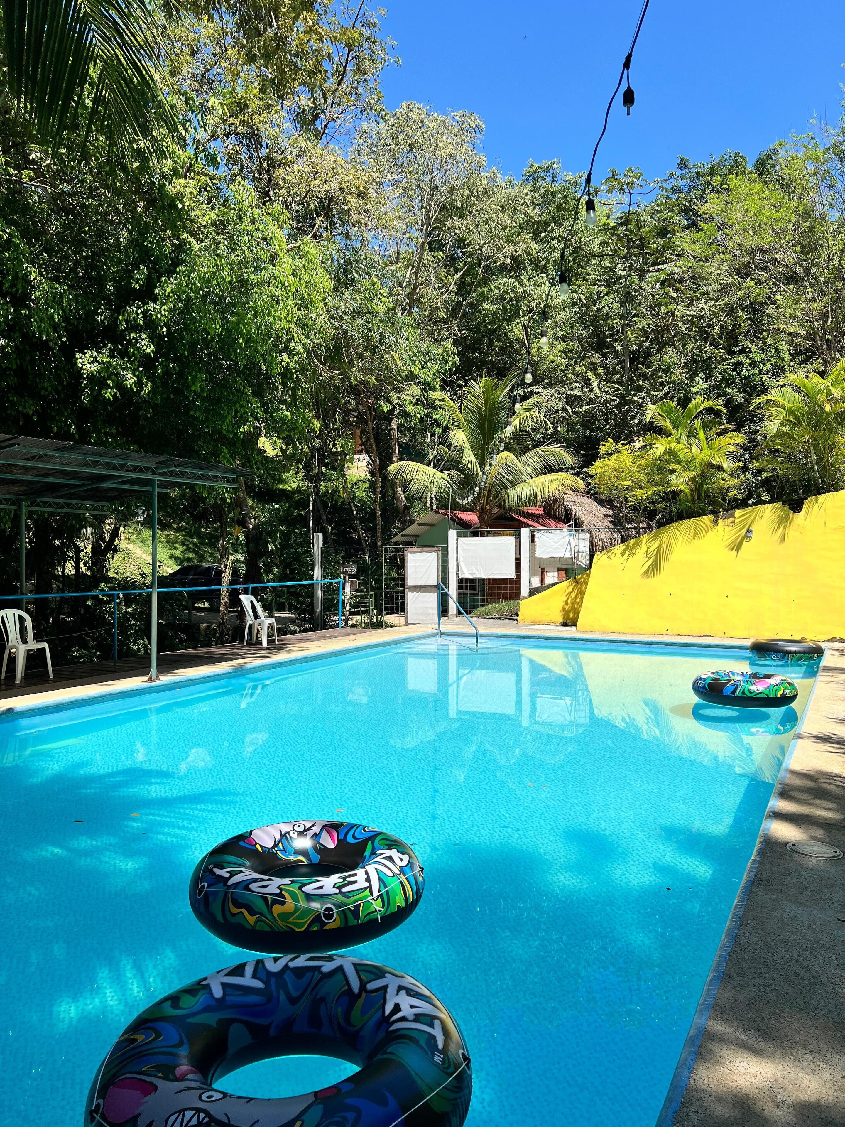 Piscina com boias, rodeada por árvores e uma área coberta com cadeiras.