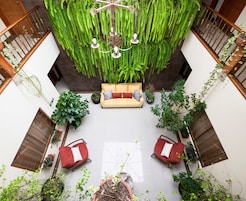 Jardim