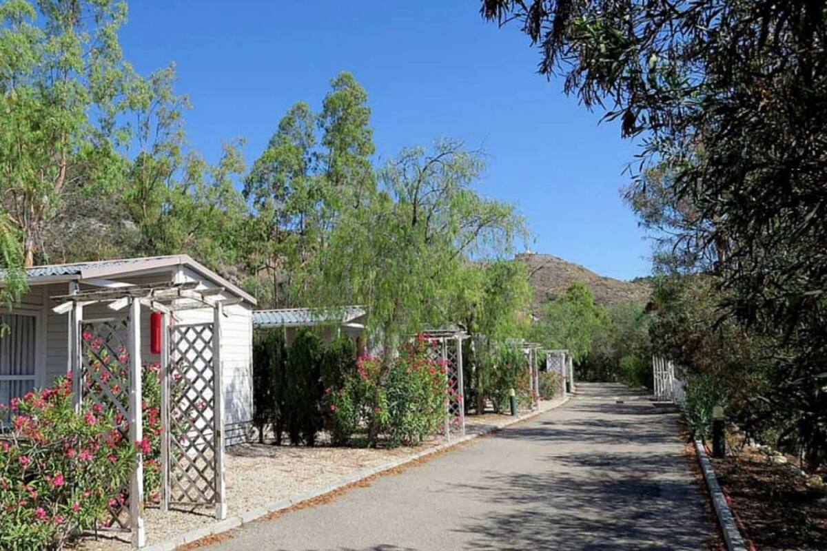 Um caminho flanqueado por árvores e um pequeno edifício com pérgola.