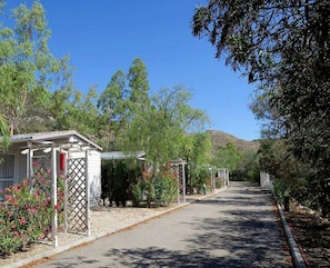 Um caminho flanqueado por árvores e um pequeno edifício com pérgola.