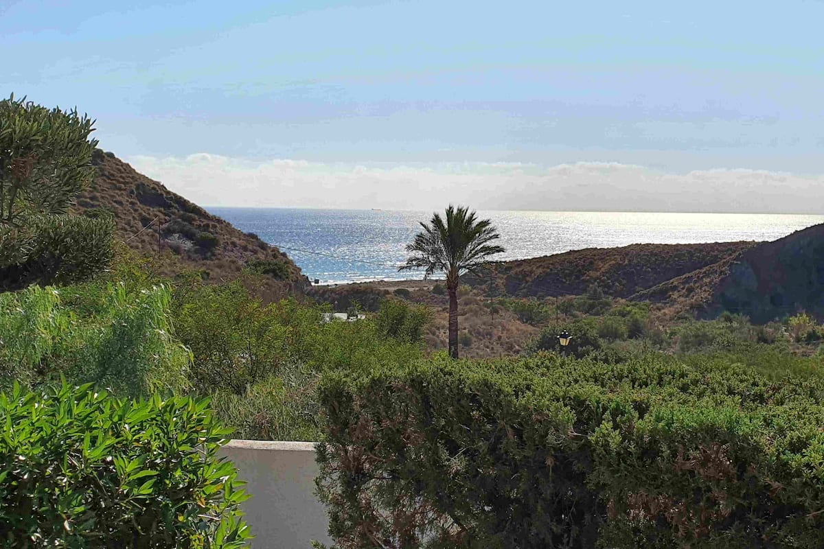 Paisagem costeira com vista clara do mar, uma palmeira e um terreno montanhoso.