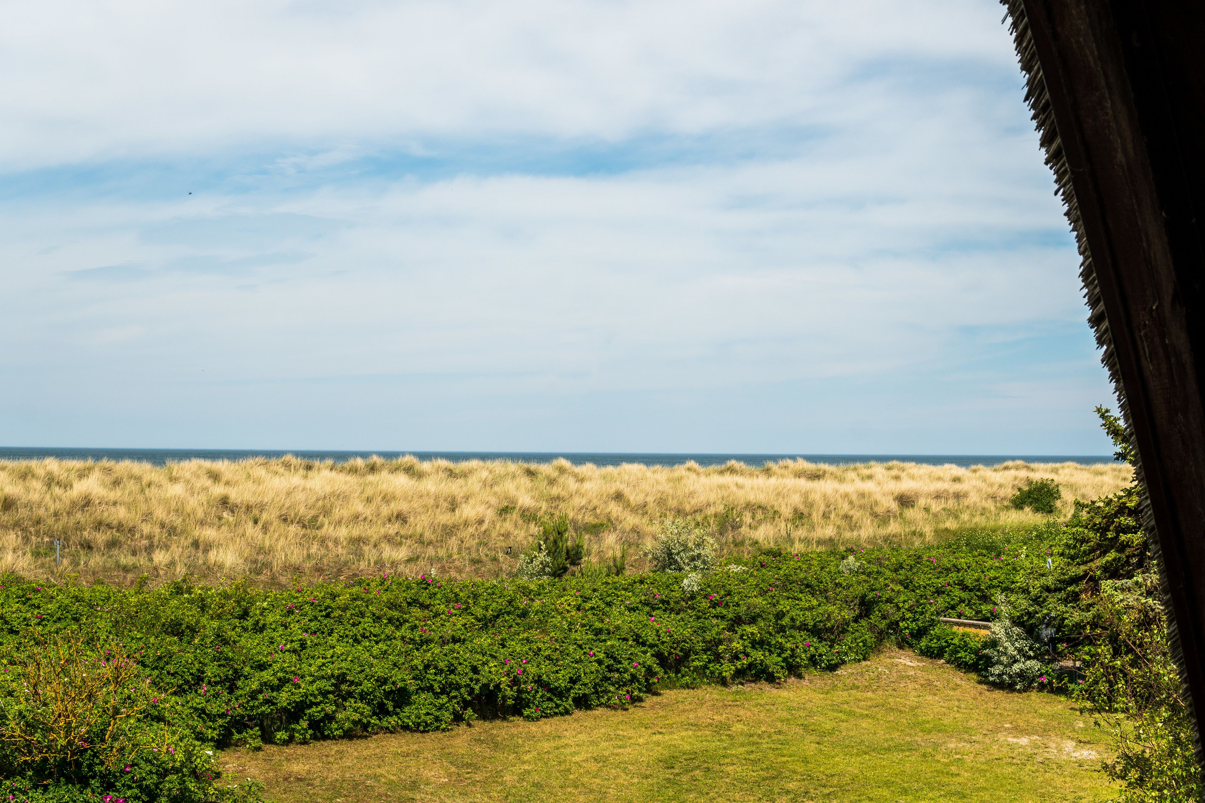 Vista de uma paisagem costeira com um campo gramado, vegetação densa e céu claro.
