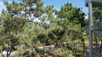 Quarto casal ou duplo standard | Vista para o jardim