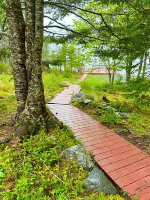 Best View Wonderland Cozy Cabin On Pond - Newfoundland and Labrador