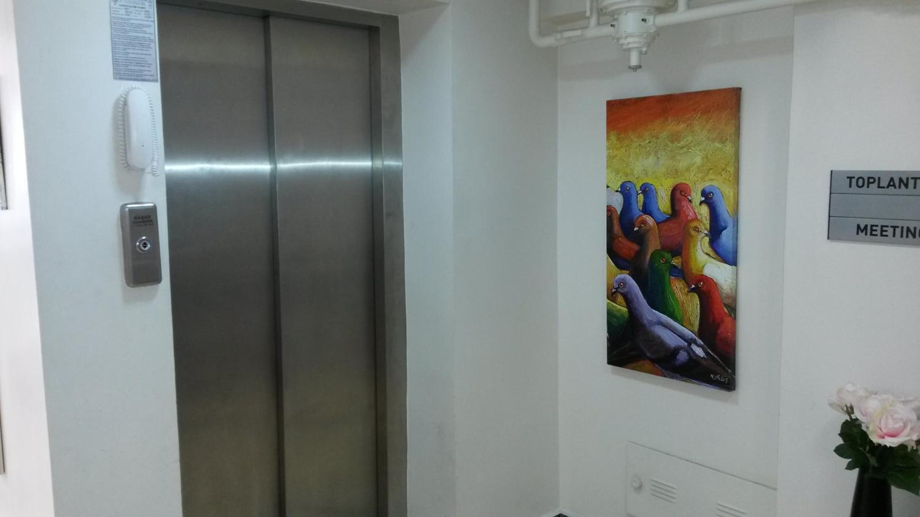 Um elevador moderno com acabamento metálico, um telefone fixado na parede e um quadro colorido de aves.