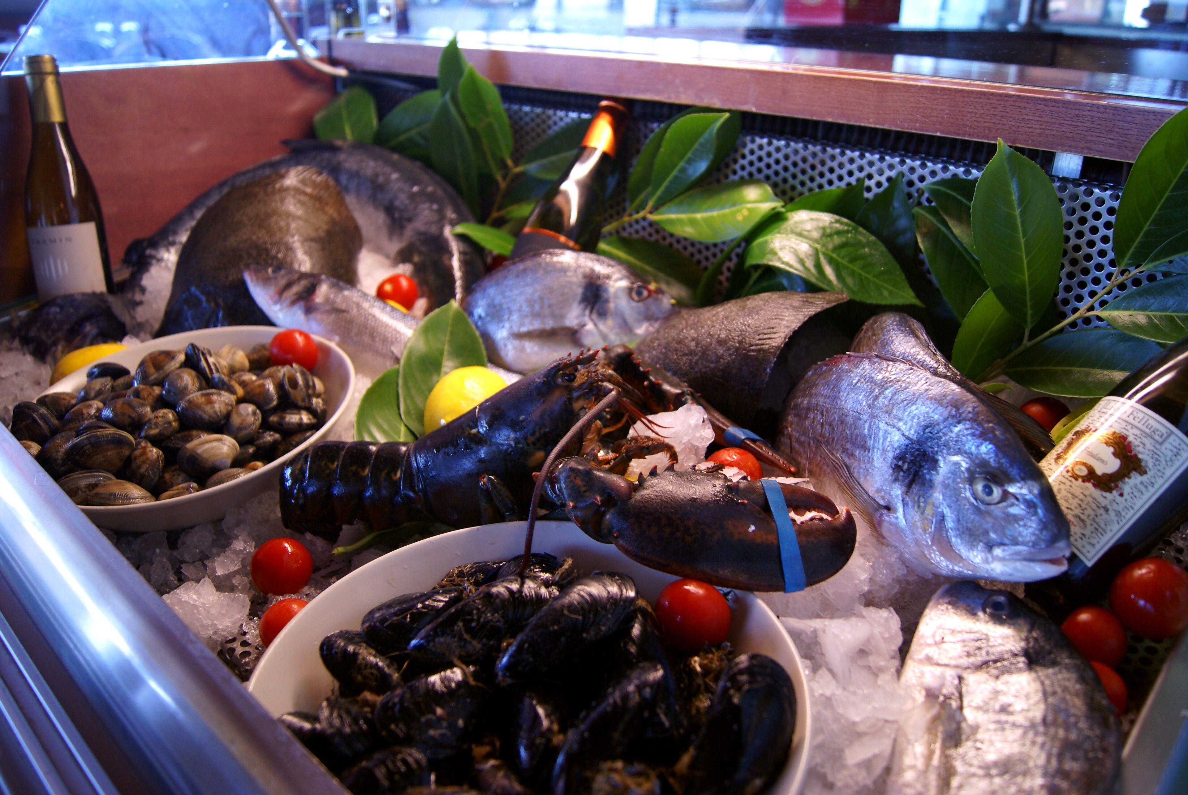Exposição de frutos do mar com diversos tipos de peixes, mexilhões e amêijoas sobre gelo, acompanhada de tomates e uma garrafa de vinho.