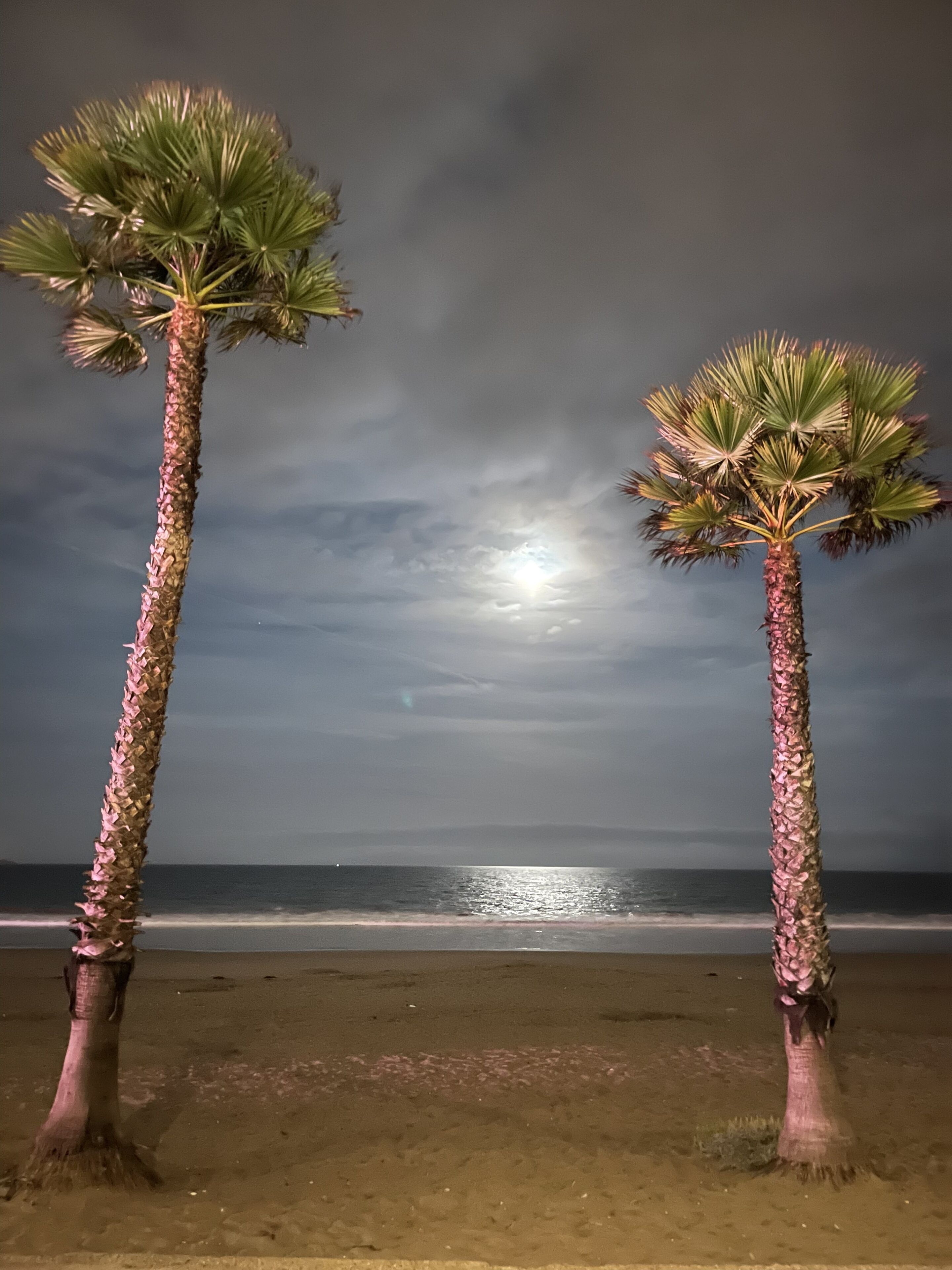 Na praia, praia de areia branca, espreguiçadeiras, guarda-sóis de praia 