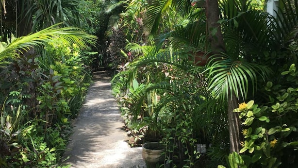 Uma trilha estreita e pavimentada, ladeada por vegetação tropical exuberante, conduz a um edifício com telhado de telhas vermelhas.
