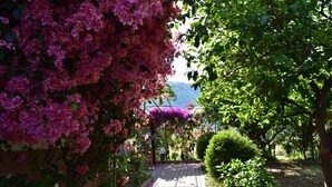 Uma trilha no jardim com flores cor-de-rosa e folhagem verde.