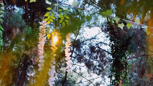 Uma área de piscina com uma estrutura de telhado de palha, um edifício de madeira e vasos com plantas.