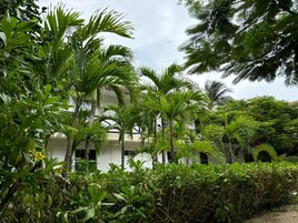 Detalhe da parte interna