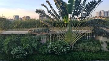Um jardim no terraço com diversas plantas e vista para prédios ao fundo.