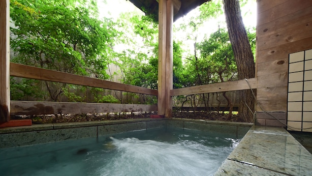 Estrutura de madeira com piscina, rodeada por árvores.