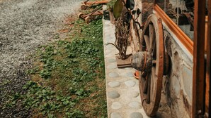 Jardim