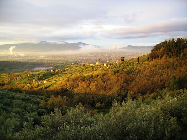 Fattoria Gambaro Di Petrognano - Alpes