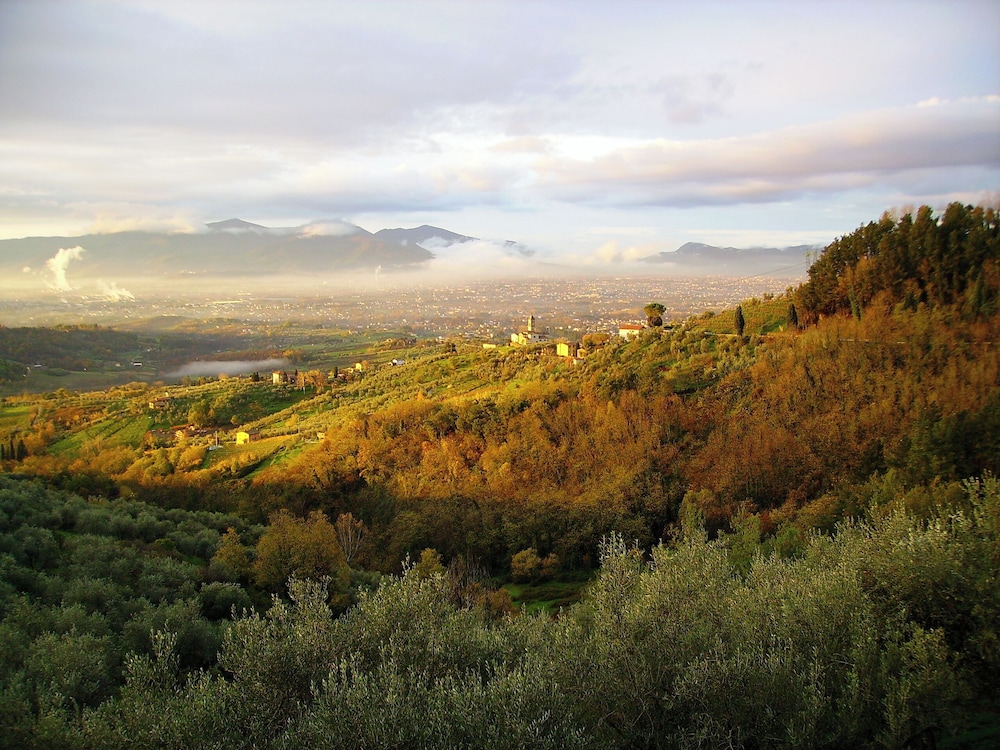 Fattoria Gambaro Di Petrognano - Toscana