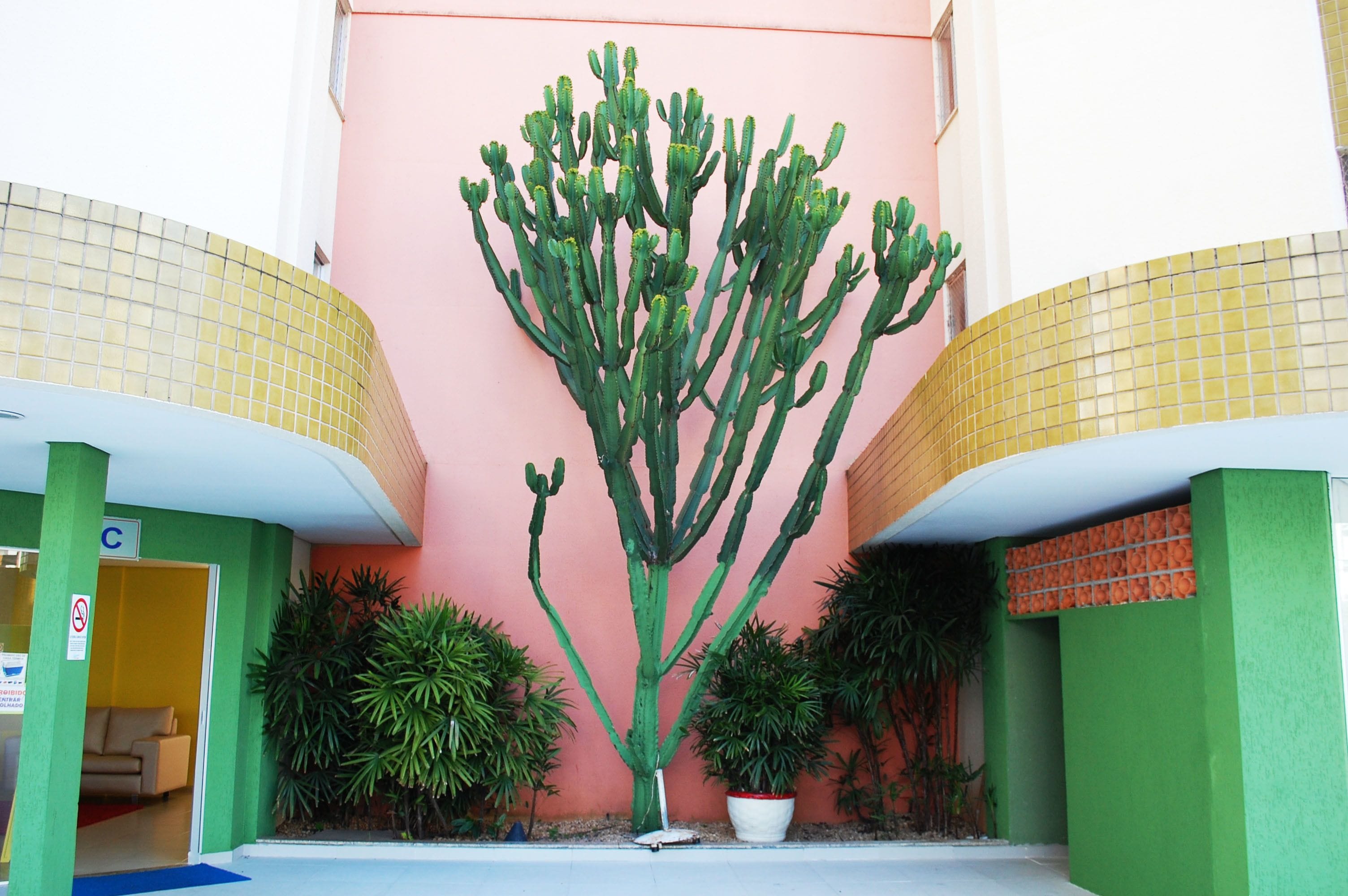 Detalhe da parte interna