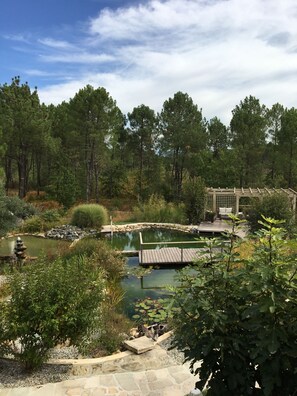 Piscina externa, piscina natural