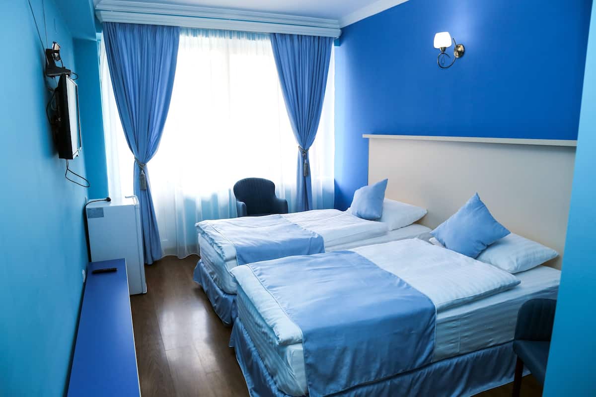 Quarto Twin Deluxe | Ferro/tábua de engomar, Wi-fi grátis