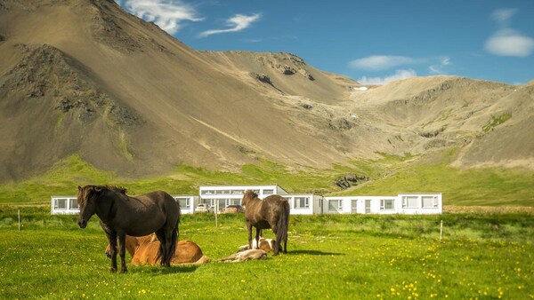 Kast Guesthouse - Islandia