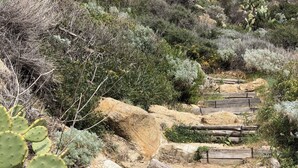 Paisagem desértica com cactos, terreno rochoso e toras de madeira.