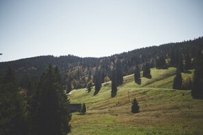 Quarto Triplo Standard, 1 quarto | Vista do quarto