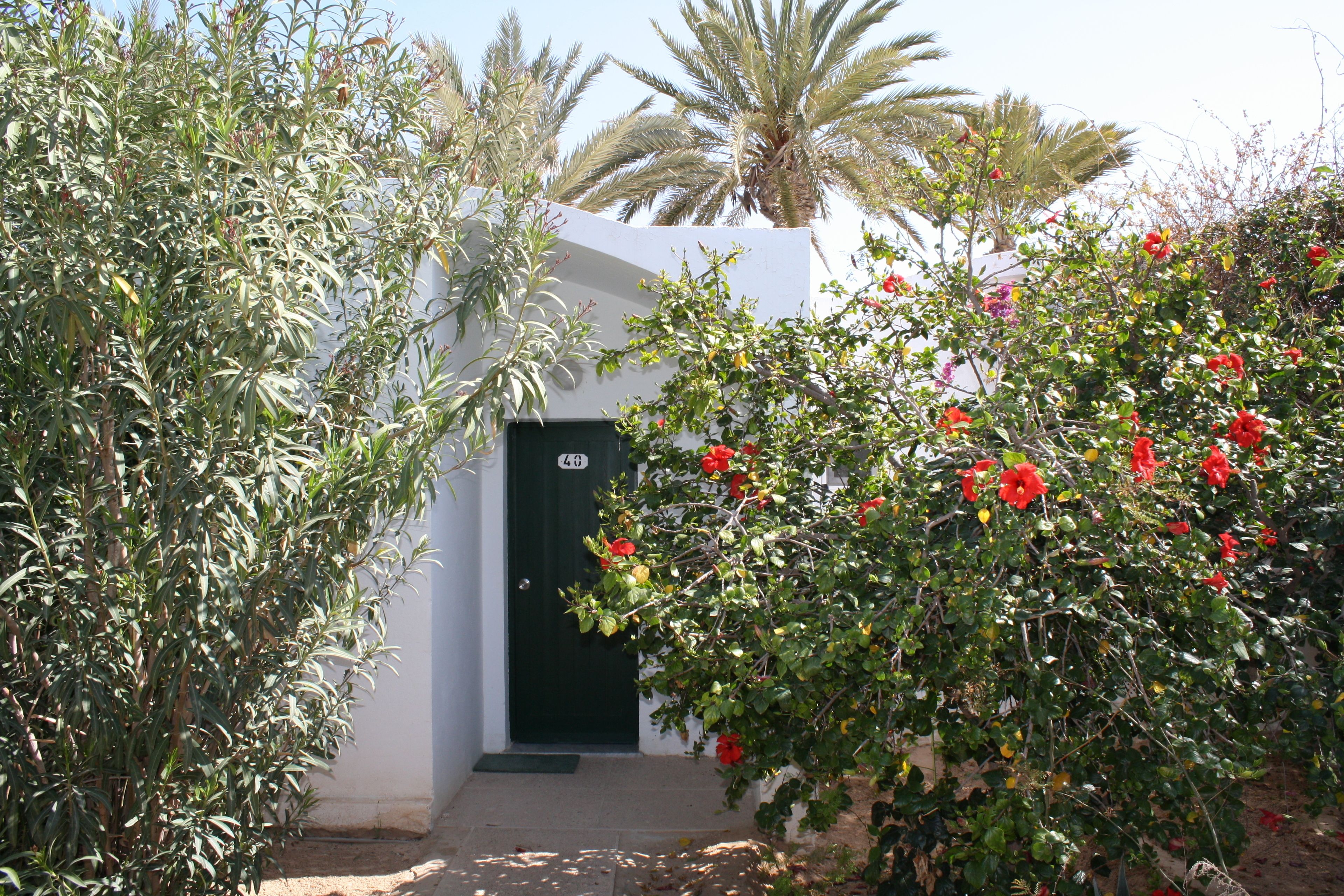 Um edifício com porta verde, rodeado por vegetação exuberante e flores vermelhas.